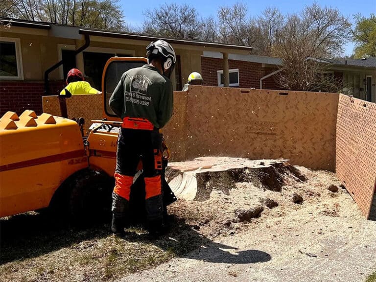 Fully Insured Tree Service | Metro Detroit Tree & Firewood