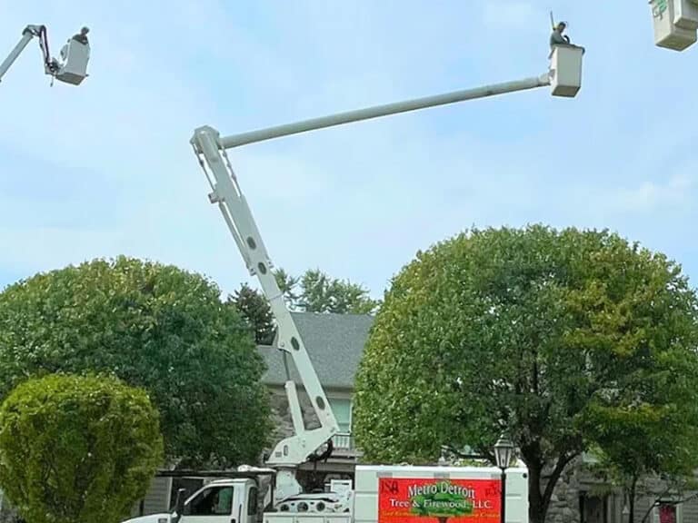 Fully Insured Tree Service | Metro Detroit Tree & Firewood